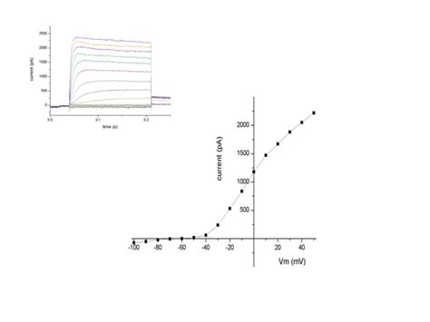 Patch Clamp Lecture PPT