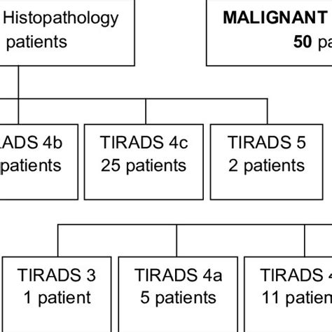 Summary Of Patient Population And Tirads Classification Download Scientific Diagram