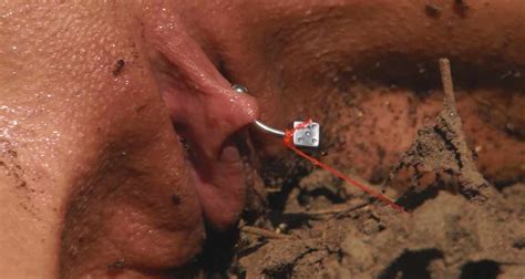 Insect Bite Torture Cumception