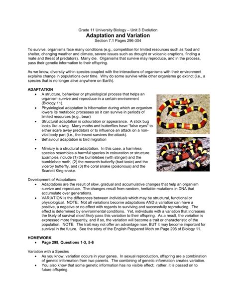 Adaptation And Variation Grade 11 Biology Lesson
