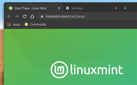 Chrome Window Is Shifted Down And Right On Maximize · Issue 10419 · Linuxmintcinnamon · Github