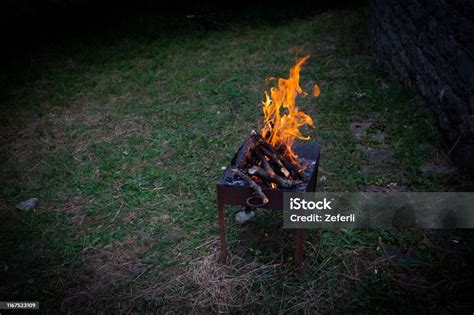 금속 꼬치에 구운 케밥 요리 바비큐에서 조리한 구운 고기 전통적인 동양 요리 쉬쉬 케밥 숯과 불꽃 피크닉 길거리 음식에 그릴 가지 채소에 대한 스톡 사진 및 기타 이미지
