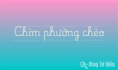 Danh Từ Chim Phường Chèo Là Gì Từ đồng Nghĩa Trái Nghĩa Từ Điển Tiếng Việt