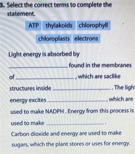 [answered] 3 Select The Correct Terms To Complete The Statement Atp Kunduz