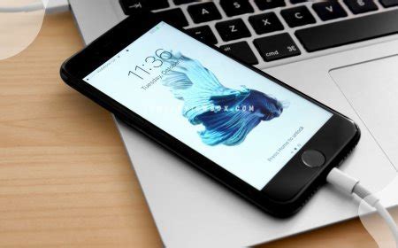 How To Connect Wireless Mouse To Mac Step By Step Guide Tom S Review Box