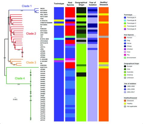 Genome Comparison And Core Genome Phylogeny Of C Perfringens