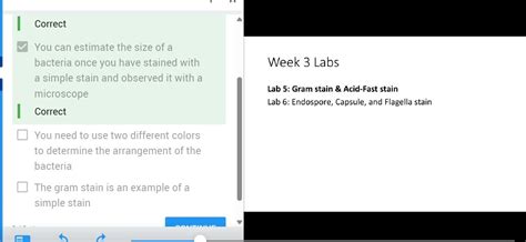Microbiology Simple Stain