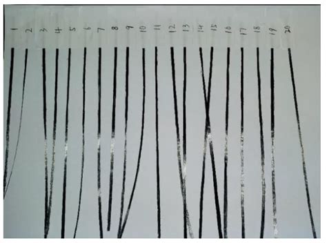 High Throughput Additive Manufacturing Of Continuous Carbon Fiber Reinforced Plastic By