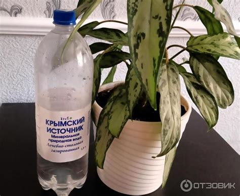 Отзыв о Минеральная вода Крымский источник | Полезная водичка.