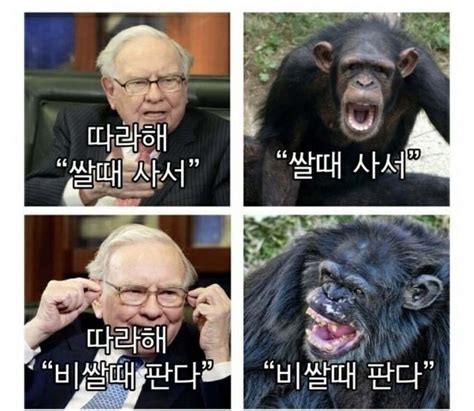 쌀때 사서 비쌀때 판다는건 불가능하다 주식 에펨코리아