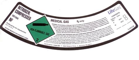 32 Label The Nitrogen Cycle Labels Information List