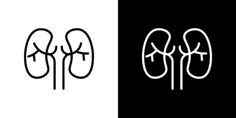 신장 아이콘 세트입니다 그래픽 및 웹 디자인을 위해 격리된 검은색 일러스트레이션 개념에 대한 스톡 벡터 아트 및 기타 이미지 개념 개념과 주제 건강관리와 의술