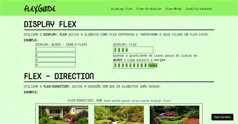 FLEX GUIDE Codesandbox