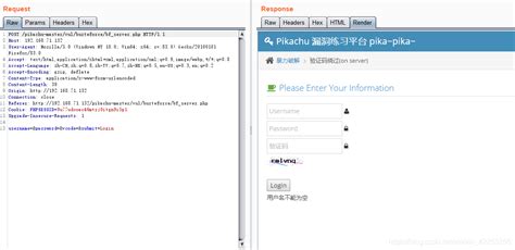 完美解决burpsuite的rander问题intitleburpsuite Render乱码 Csdn博客
