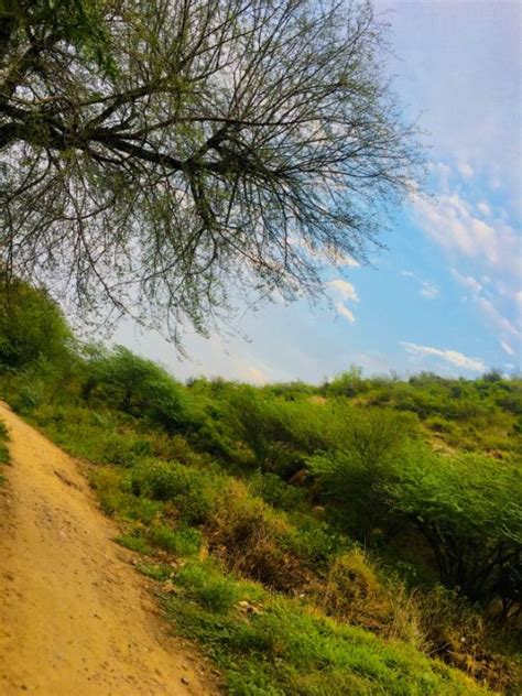 The Way To Town Prince S S Raghav Photography Landscapes And Nature Forests Other Forests