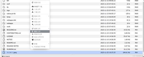 Nginx反向代理实现负载均衡webshellantproxyphp Csdn博客