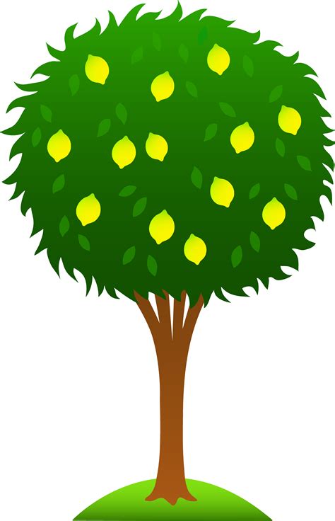 Free TREE CARTOON PNG Download Free TREE CARTOON PNG Png Images Free ClipArts On Clipart Library Free TREE CARTOON PNG Download Free TREE CARTOON PNG Png Images Free ClipArts On Clipart Library