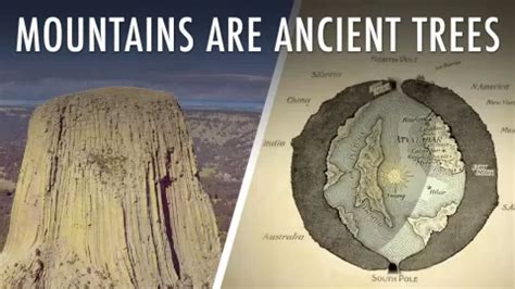 The Strange Theory That Mountains Are Trees Other Bizarre Mysteries Articles On WatchMojo Com