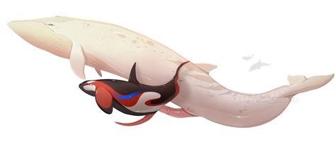 Rule 34 2022 Anal Anal Sex Animal Genitalia Animal Penis Baleen Whale Big Dom Small Sub Blue