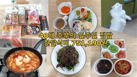 3인가족집밥 식비절약으로 잘 먹고 잘 사는 주부의 집밥이야기 중딩3인가족 식비절약 코스트코 장보기 공심채볶음 순두부육계장 이연복목란짜장면 대전유림공원국화