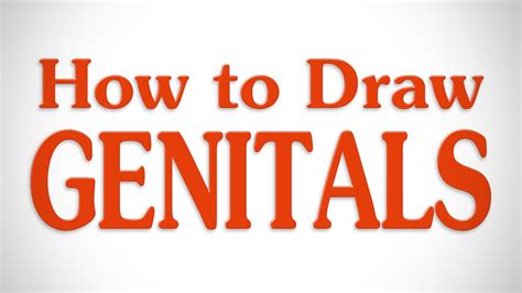 How To Draw Genitals YouTube