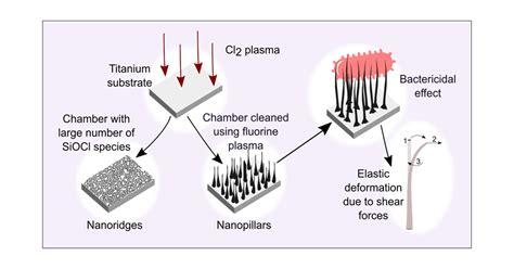 Bactericidal Anisotropic Nanostructures On Titanium Fabricated By