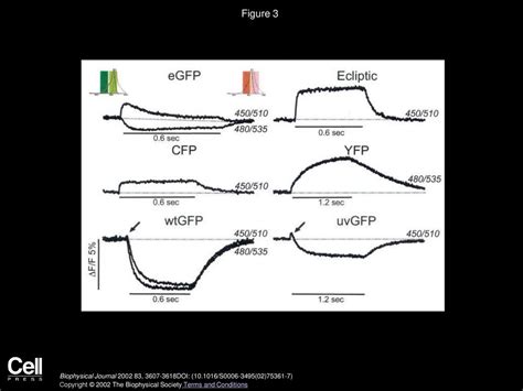 Volume 83 Issue 6 Pages December 2002 Ppt Download
