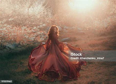 물결 모양 두꺼운 머리를 가진 갈색 머리 여자는 태양에 실행 하 고 다시 보인다 공주는 바람에 빨라 고급 스러운 쉬폰 빨간 드레스 불 같은 석양과 야생 자연의 배경 갈색