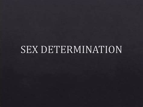 Sex Determinationppt