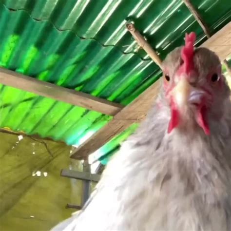 Zeeshan Haider On Linkedin Weekend Lovelife Challenge Opentowork