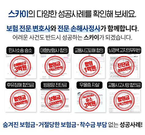 성공사례구 보험전문변호사 Sky