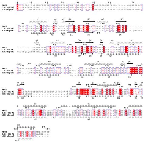 Crystal Structure Of The Apo And The Adp Bound Form Of Choline Kinase From Plasmodium Falciparum
