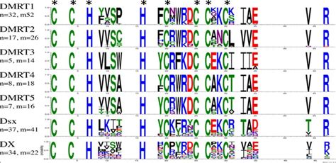Analysis Of The Conserved DM Domain Among The Different Proteins Download Scientific Diagram