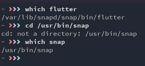 Wrong Flutter Command Path After Updating Issue 96 Iamcco Coc