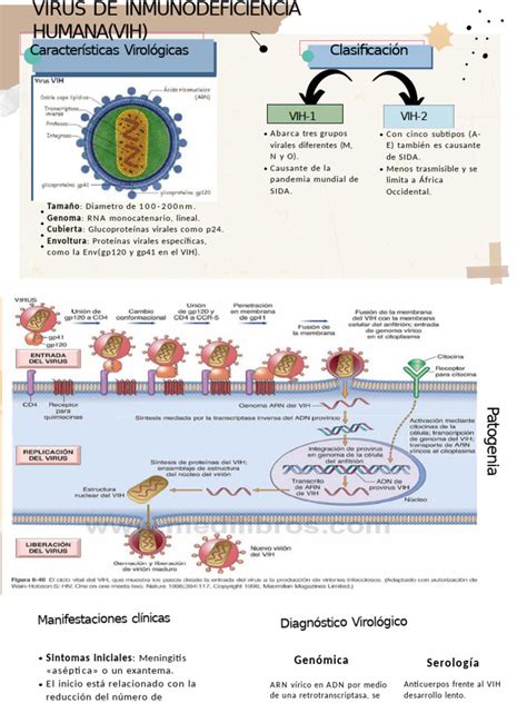 Vih Htlv 1 Y Htlv 2 Pdf Retrovirus Virus