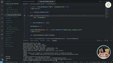 Curso De Unit Testing En Go Platzi