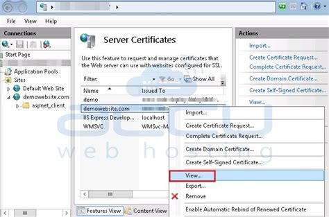 After Successful SSL Certificate Installation It Disappeared From IIS Server Certificates