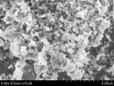 Porous Silicon Acs Material