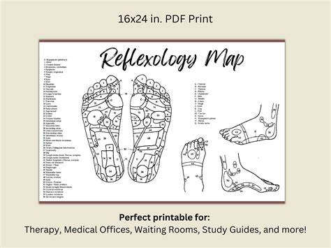 Foot Reflexology Map Chart Instant Download Printable Wall Art Poster