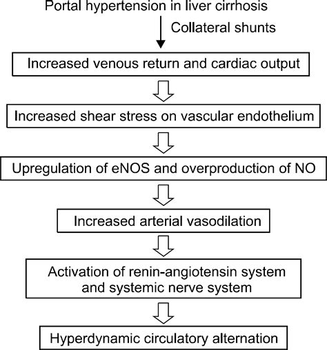 Koreamed Synapse