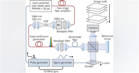 Surface Acoustic Waves Profiled By Stroboscopic White Light