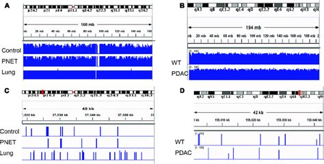 Integrative Genomics Viewer Igv Visualization Depicting