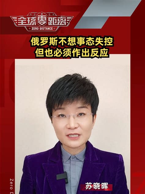 俄罗斯不想事态失控但也必须作出反应 荔视频