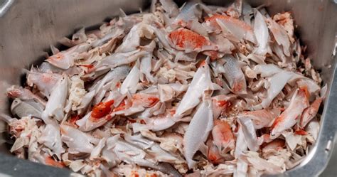 What Is Silage Understanding Fish Silage And Its Benefits