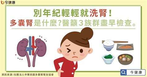 年紀輕輕就洗腎！多囊腎是什麼？醫籲3族群務必盡早檢查 健康 Nownews今日新聞