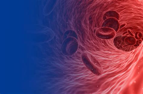 血透通路产品 上海畅德医疗科技有限公司