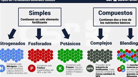 Ejemplos De Sustancias Ácidas Características Y Usos