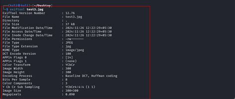 Using Exiftool In Kali Linux For Metadata Extraction Techarry
