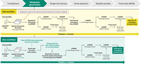 A Robust Workflow To Identify High Performing Clones Cytiva