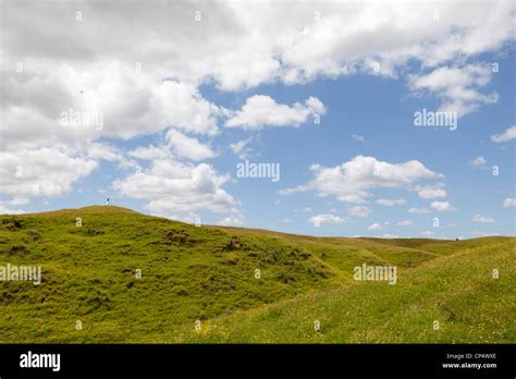 A Pastoral Scene With Blue Sky Fluffy Clouds And Green Grass Fields